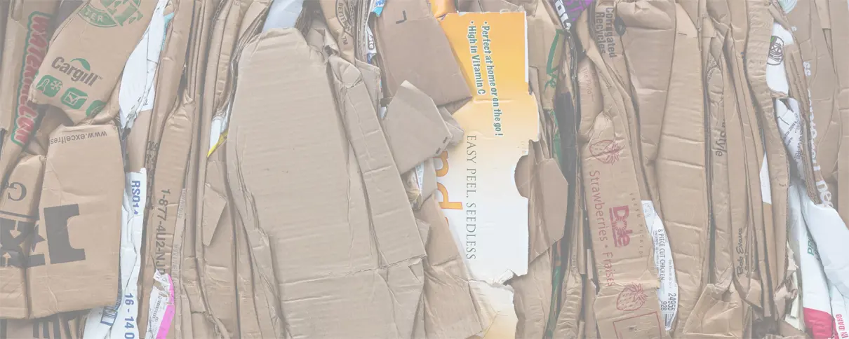 Lighting, electronic systems for security - Beghelli