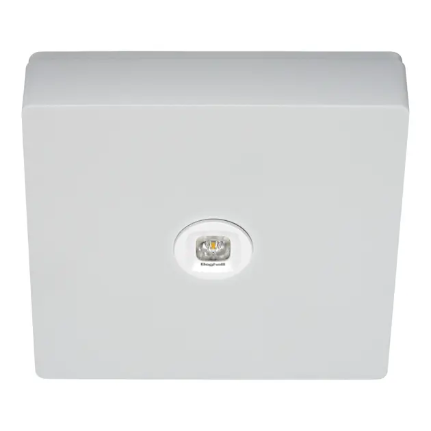 Spot Light: Micro Dot Plafone Emergency Lighting